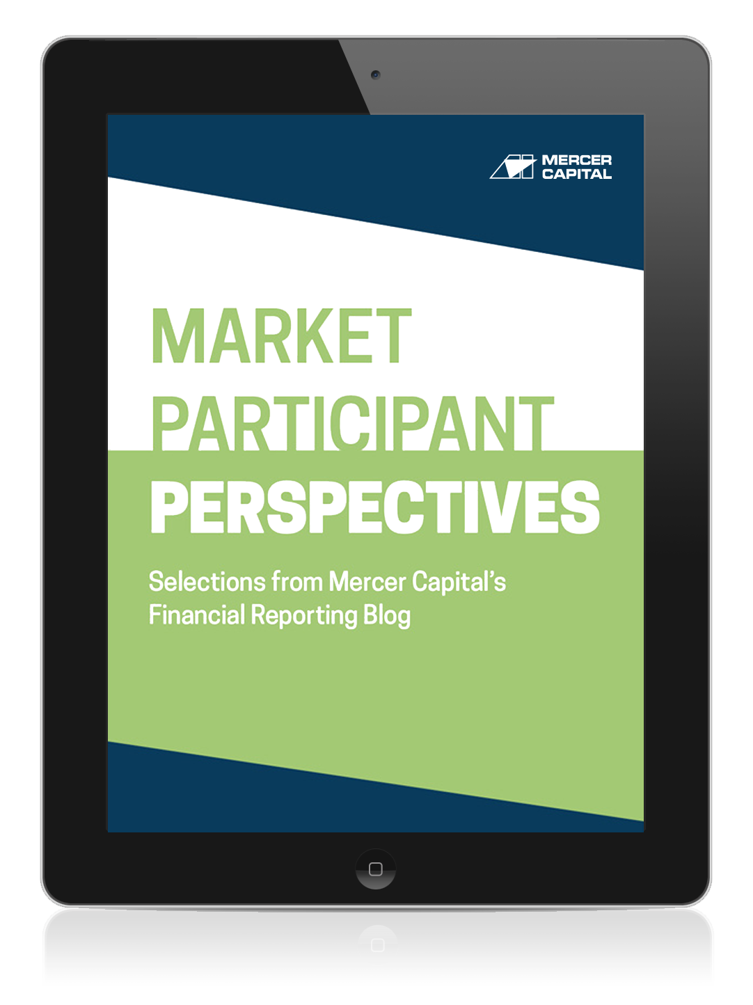 Market Participant Perspectives - Mercer Capital
